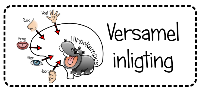 Die Hippokampus – iKnowThat