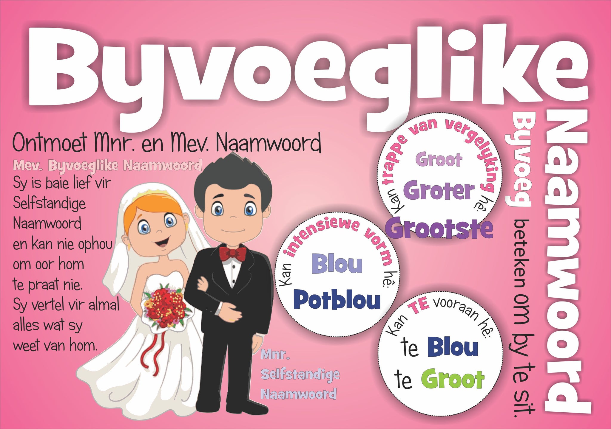 iK Plakkaat Afrikaans Woordsoorte Byv.nw. A3 Gedruk en gelamineer – iKnowThat